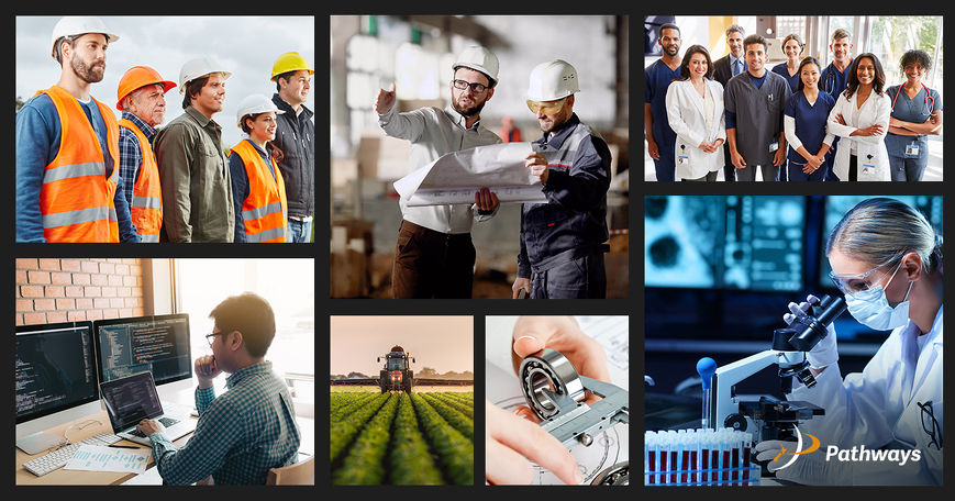 The new Immigration Green List - what is it? | Pathways to New Zealand®