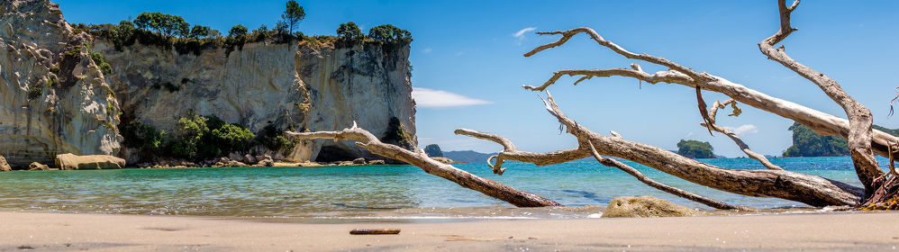 Immigration Green List | Pathways to New Zealand®