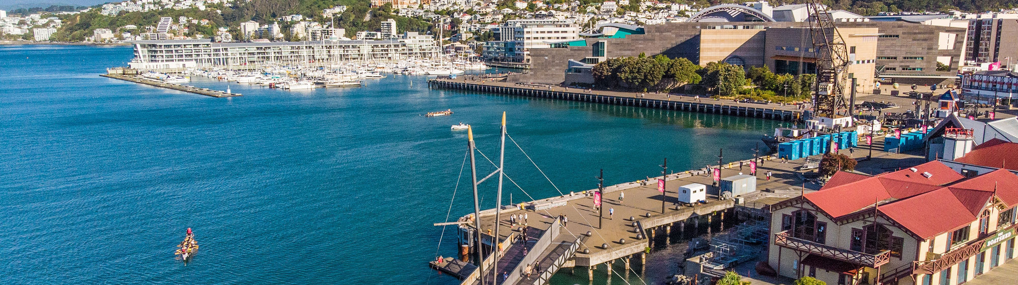 What’s happening with New Zealand citizenship? | Pathways to New Zealand®