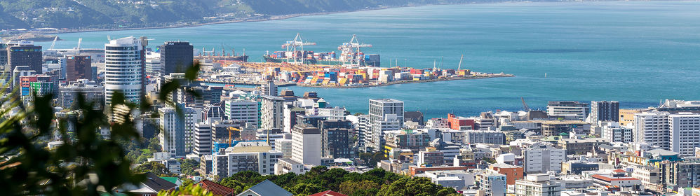 Pathways to New Zealand™