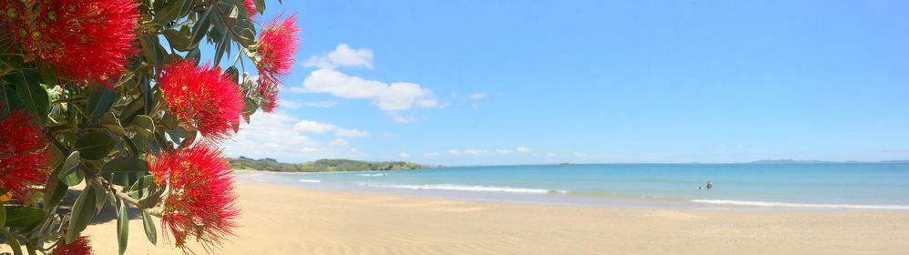 Permanent Resident Visa update from INZ | Pathways to New Zealand®