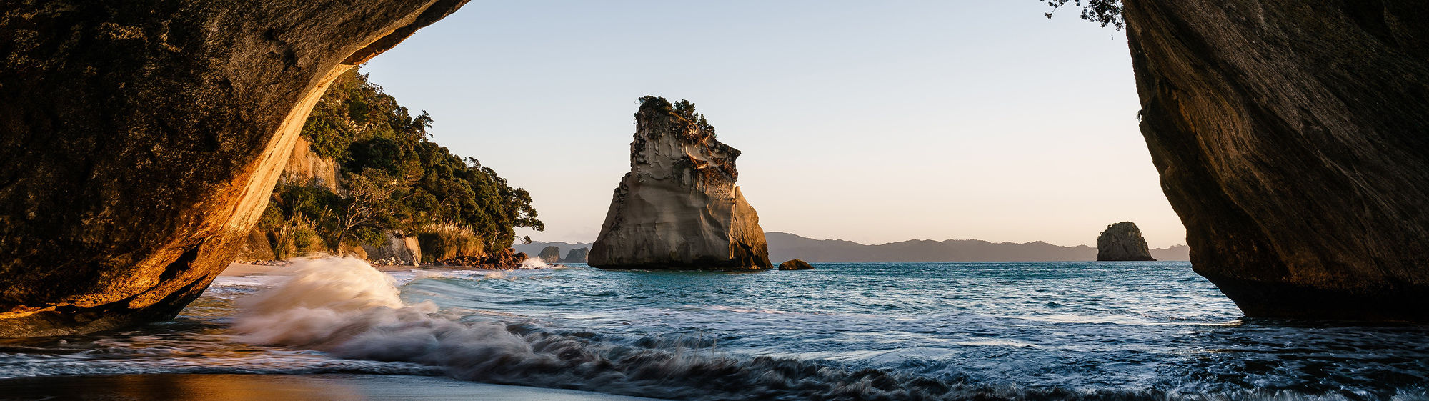 Pathways to New Zealand