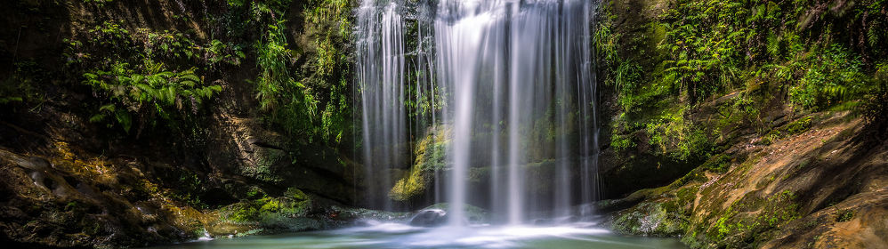 Resident Visa v/s Permanent Resident Visa | Pathways to New Zealand