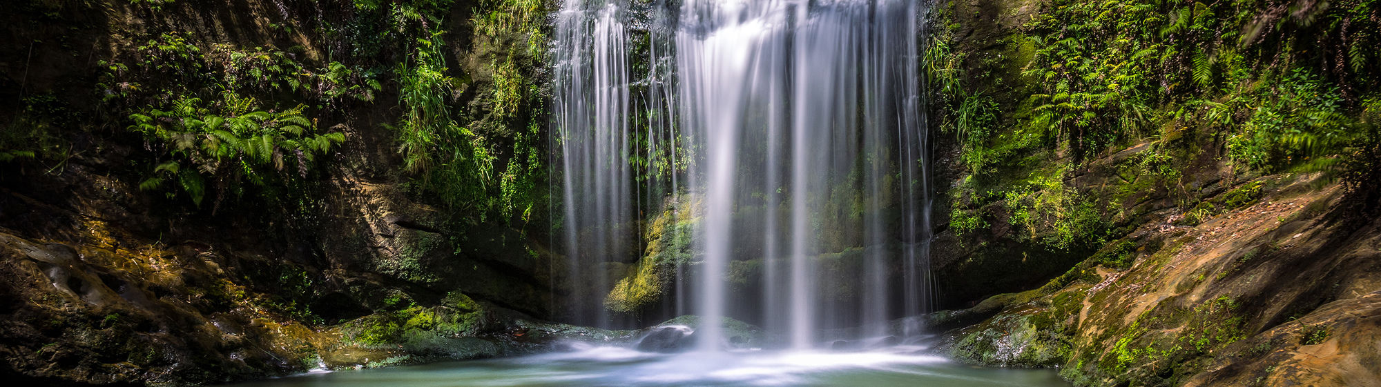 Contact Us | Pathways to New Zealand