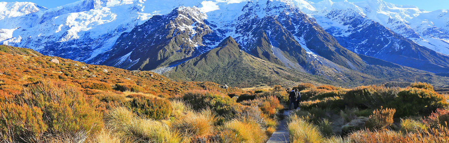 Resident Visa v/s Permanent Resident Visa | Pathways to New Zealand