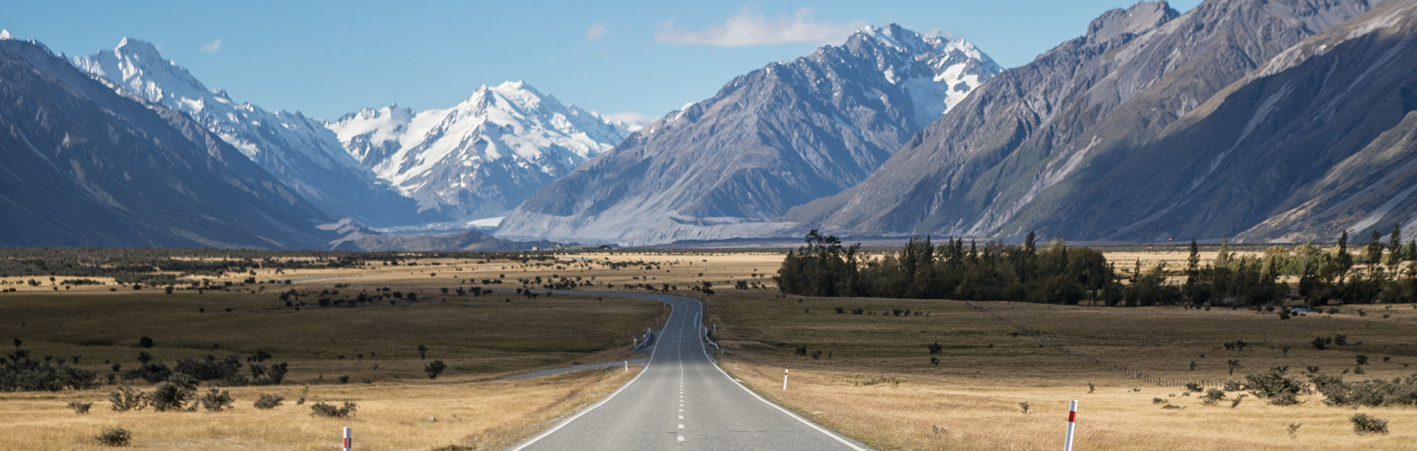 Pathways to New Zealand